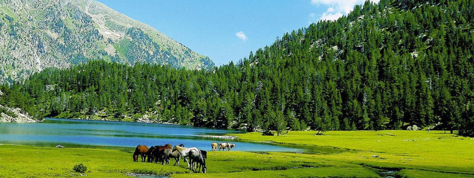 Explorando las maravillas naturales de España: un paraíso de ...